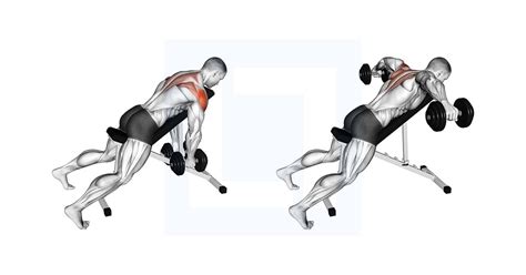 Image result for Side Lateral Raises Form
