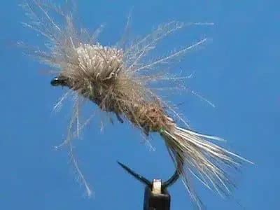 Image result for Fall Nymph Patterns