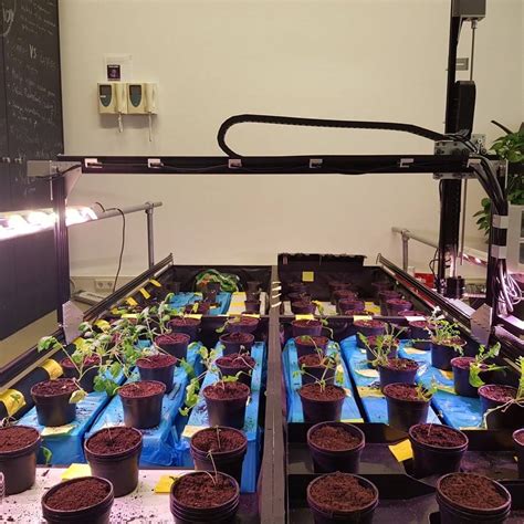 Image result for DB Legends Farming Bot