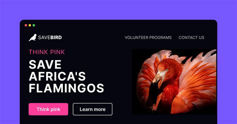 Image result for What Is a Header Example