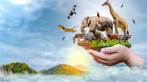 Image result for Animal Tracking Devices