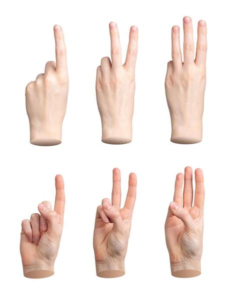 Image result for German Sign Language Numbers Human Hand