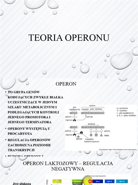 Image result for Operon Theory