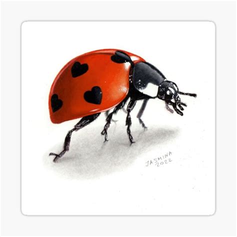 Image result for Ladybug Pencil Color