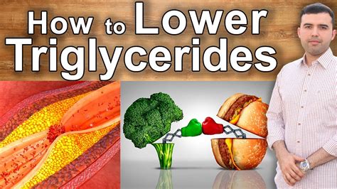 Image result for How to Reduce Triglyceride Levels