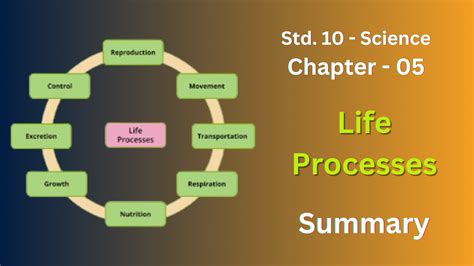 Image result for Class 10 Science Chapter 5 Life Process