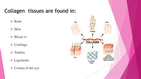 Image result for Collagen Structure