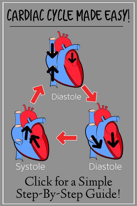 Image result for Cardiac Cycle Simple
