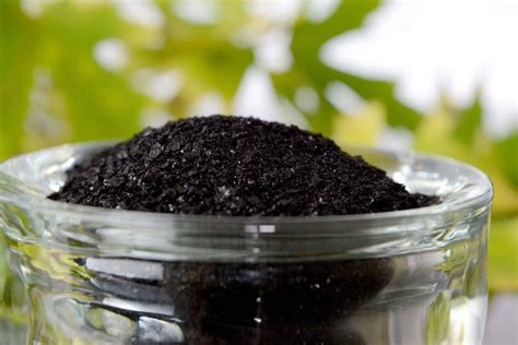 Image result for Humic Compounds