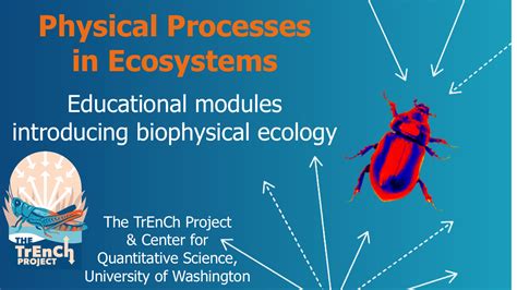 Image result for Physical Processes Definition