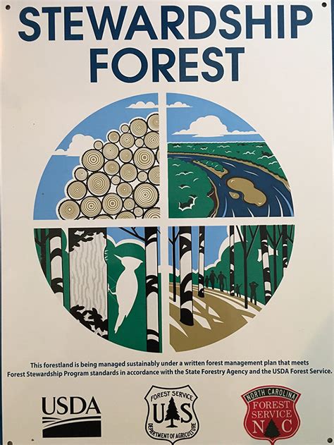 Image result for Forest Stewardship Program