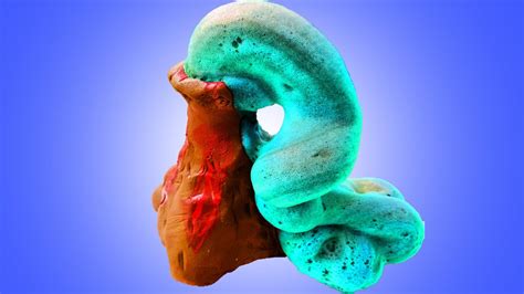 Image result for Big Volcano Toothpaste