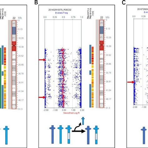 Image result for SNP Array