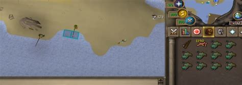 OSRS Fishing Money Making Guide - NovaMMO