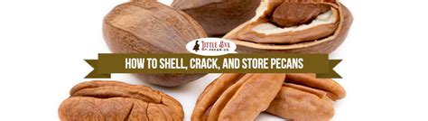 Image result for How to Store Pecans