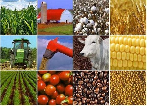 Image result for Commodity Trading Data Collection