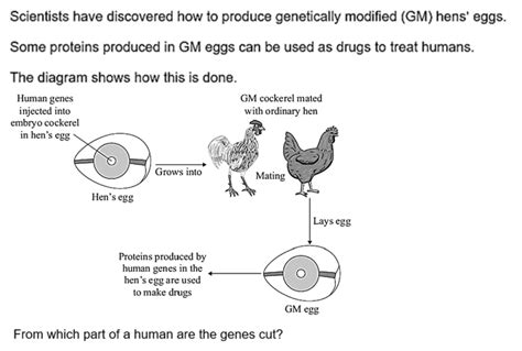 Image result for GCSE Inheritance Questions and Answers