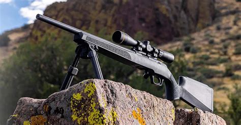 Image result for Springfield Bolt Action