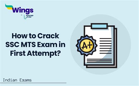 Image result for MTS Exam Tips