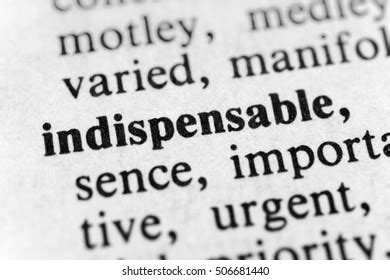 Image result for Indispensable Language