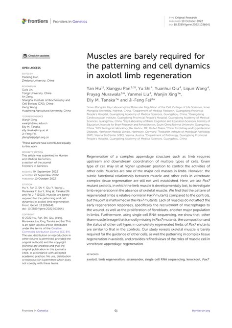 Image result for Patterning of Muscles