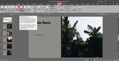 Image result for Slide Background Color PowerPoint