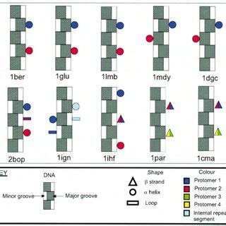 Image result for Nucleic Acid Database
