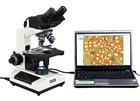 Image result for Best Digital Microscope