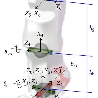 Image result for Forward Position