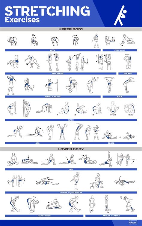 Image result for Stretching Exercise Chart