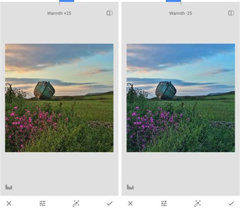 Image result for Snapseed Tutorial