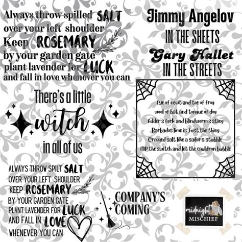 Image result for Practical Magic SVG