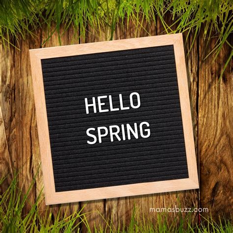Image result for Spring Letter Paper