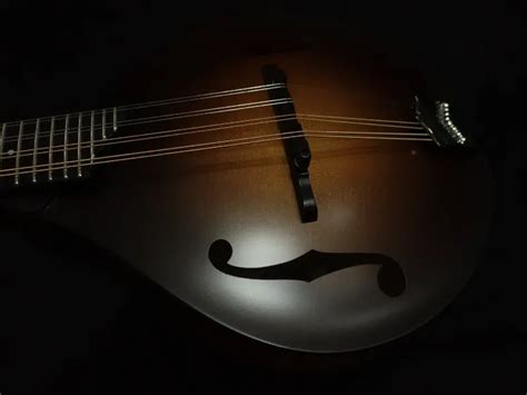 Image result for 10 String Mandolin