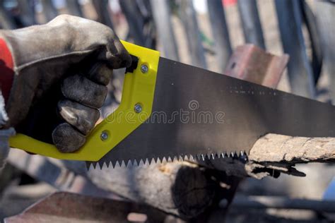 Image result for Tree Saws Hand