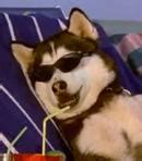 Demon Voice - Snow Dogs (Movie) - Behind The Voice Actors