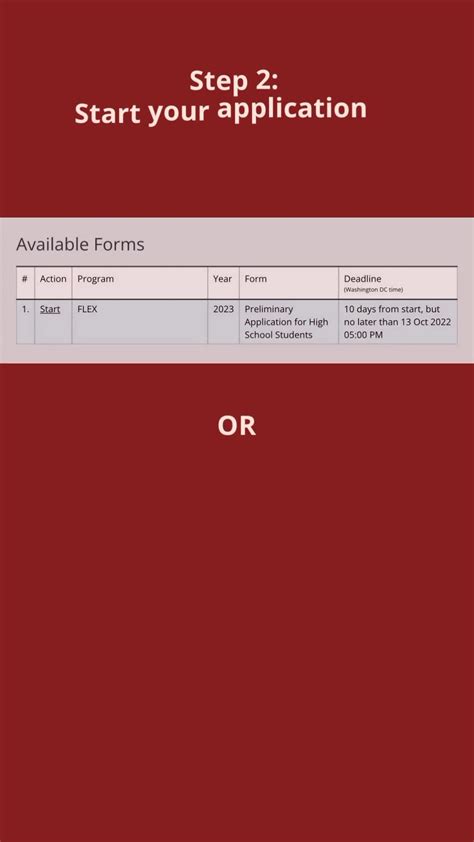 Image result for Flex Program USA