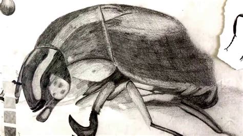 Image result for Tonal Drawing Objects