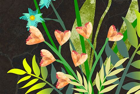 Image result for Affinity Designer Flower