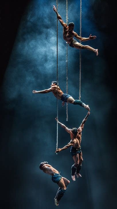 Image result for Acrobatic Display