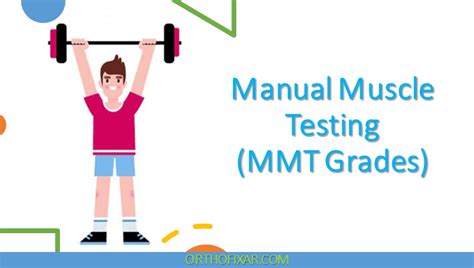 Image result for Manual Muscle Test