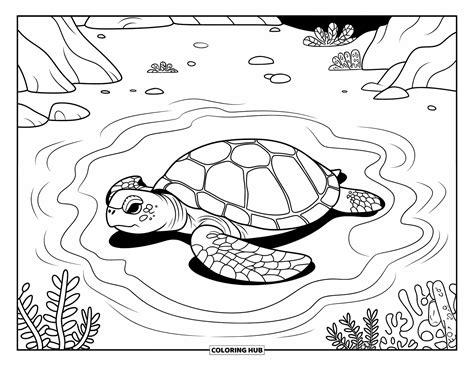 Image result for Turtle Coloring Pages