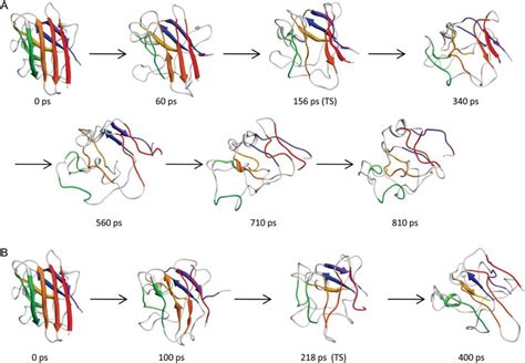 Image result for Protein Folding Simulation
