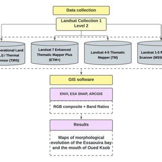 Image result for Morphological Chart Design