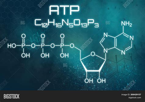 Image result for ATP Formula