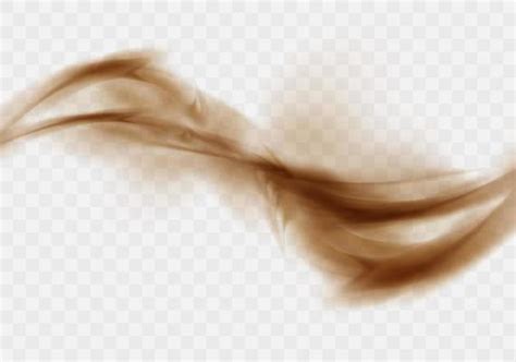 Image result for Free Transparent Vector Graphics