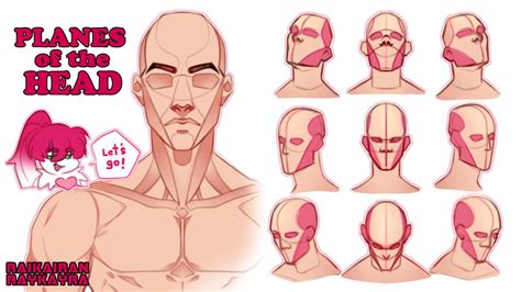 Image result for Head Tutorial deviantART