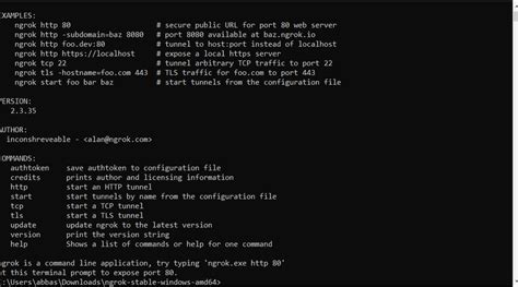 Image result for How to Connect Localhost to Internet