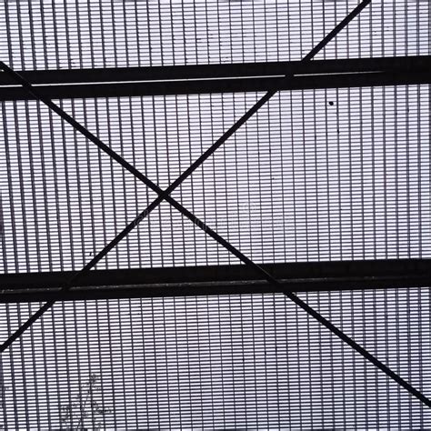 Image result for Object Drawing Form Line