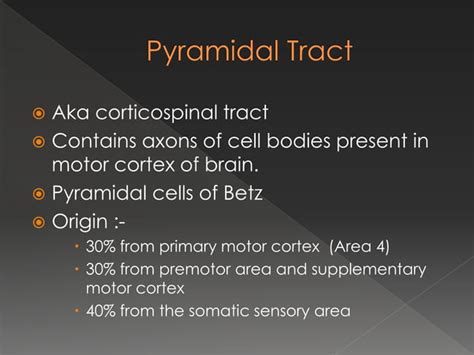 Image result for Pyramidal Tract Extrapyramidal